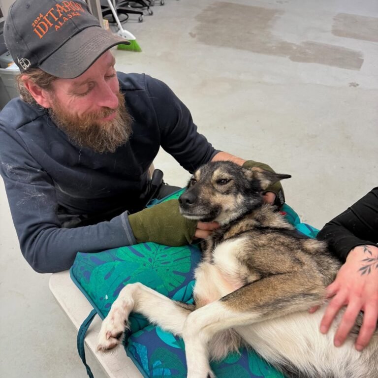 What happened to Jessie Holmes Dog? Provides Health Update ...