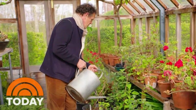Monty Don’s Heatwave Plant-Saving Guide: Here's how to Protect your ...